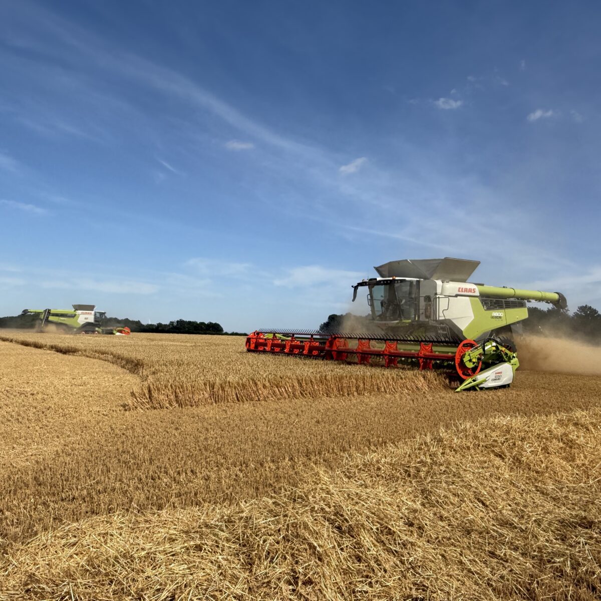 JSR Farms Family Fun Day Brings Colleagues Together - JSR Farms Ltd