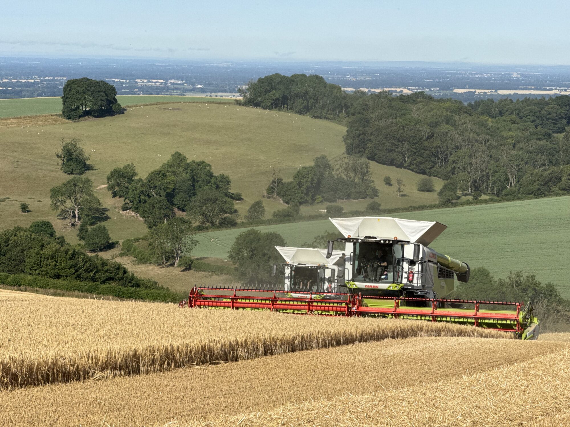 Harvest Review 2025 - JSR Farms Ltd